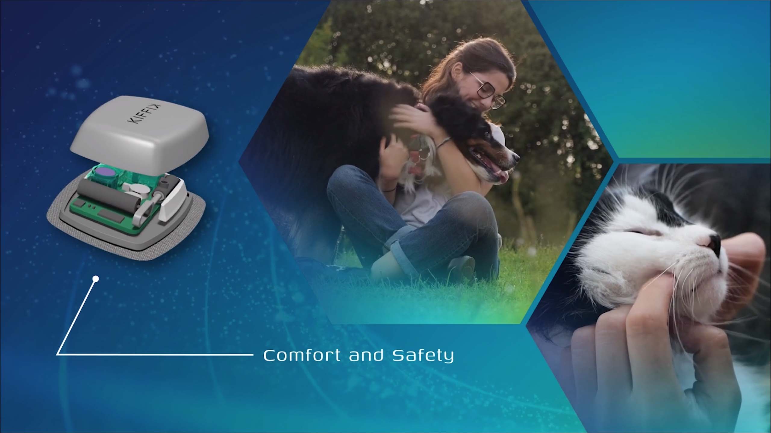 Animal Health - KIFFIK EXP | Real-Time ISF Biomarker Platform for ...